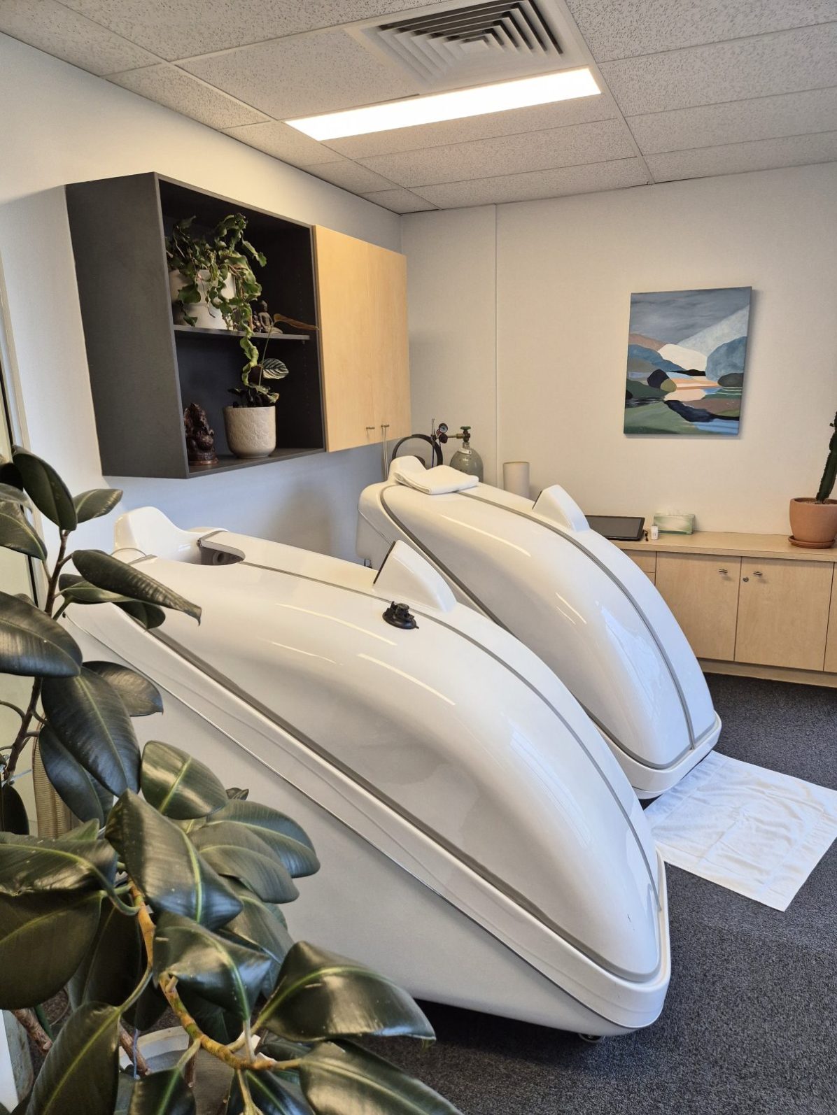 Core Naturopathics | The Adaption Lab